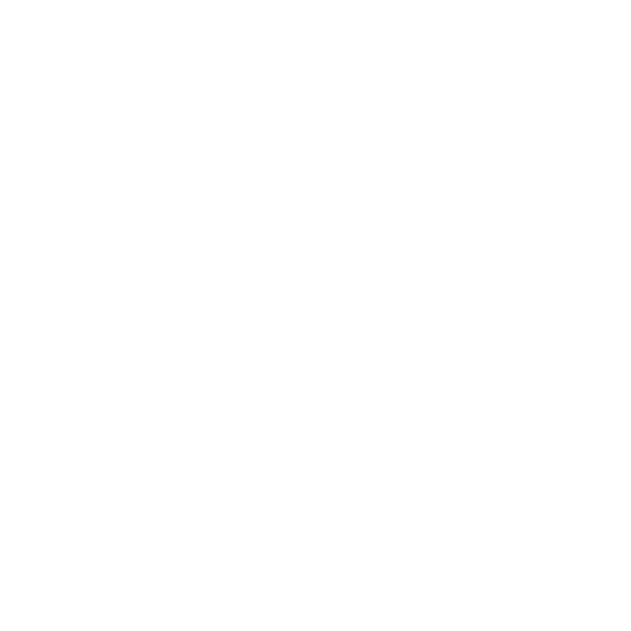 Store Inventory | Bizom